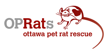 Rescue: River & Sky - Ottawa Pet Rat Rescue
